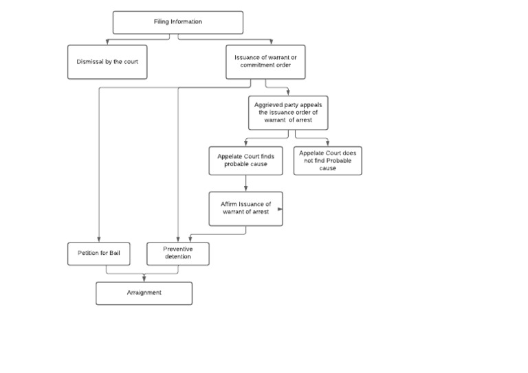 Criminal Procedure Flowchart | PDF