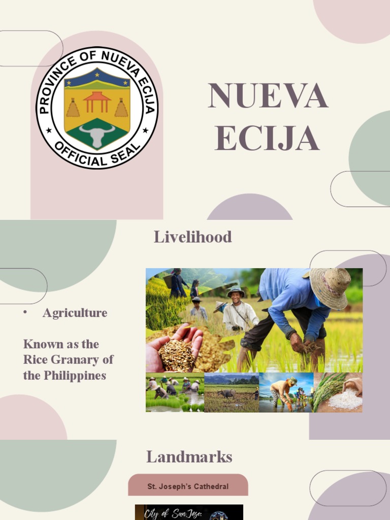 Region 3 - Central Luzon | PDF