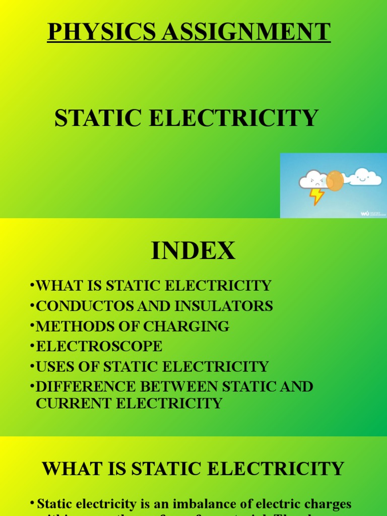 Physics Assignment | PDF | Electric Charge | Electricity