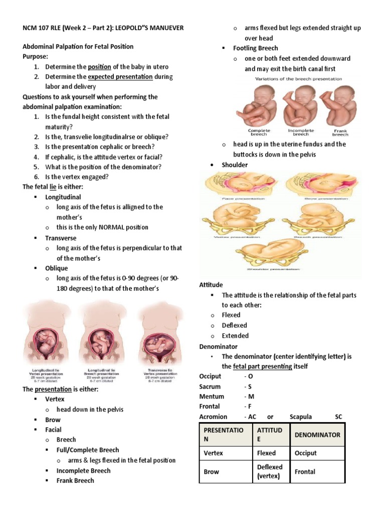 NCM 107 Rle 2 | PDF | Maternal Health | Human Reproduction