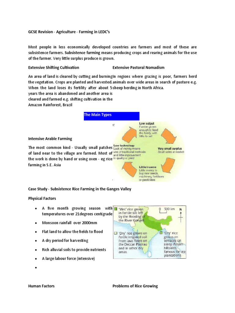 Agriculture - Farming in LEDC | PDF | Agriculture | Rice