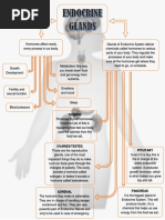 Lesson Plan Endocrine System | PDF | Endocrine System | Hormone