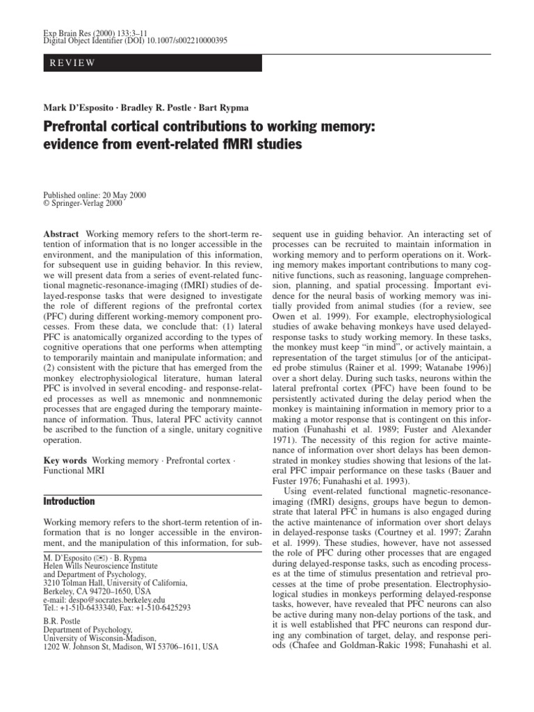 Working Memory Fmri Pdf Working Memory Prefrontal Cortex