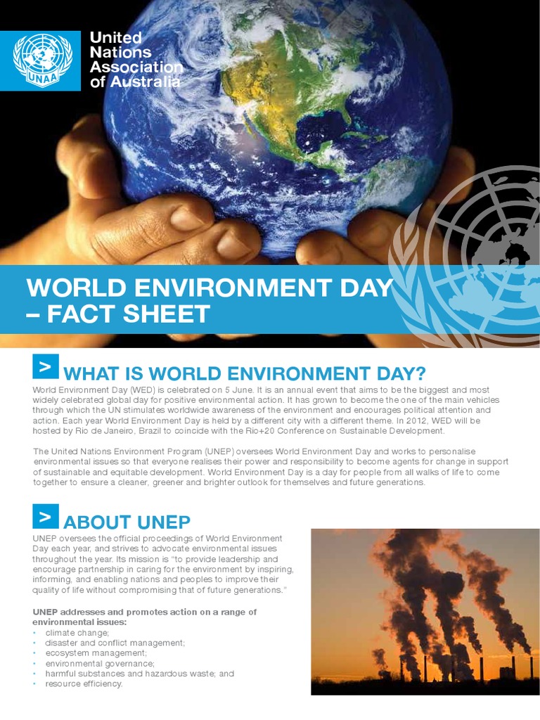 World Environment Day - Fact Sheet | PDF | Green Economy | Sustainability