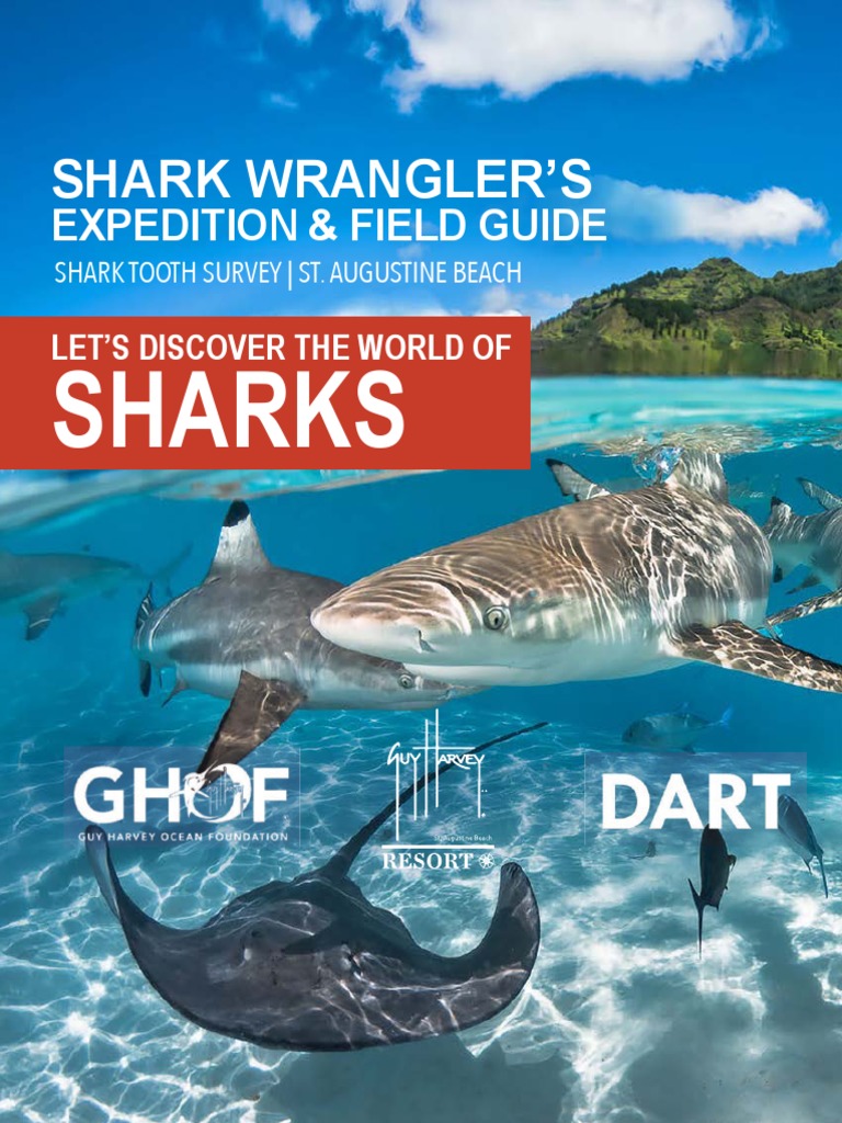 Final Sharkbook | PDF | Sharks | Zoology