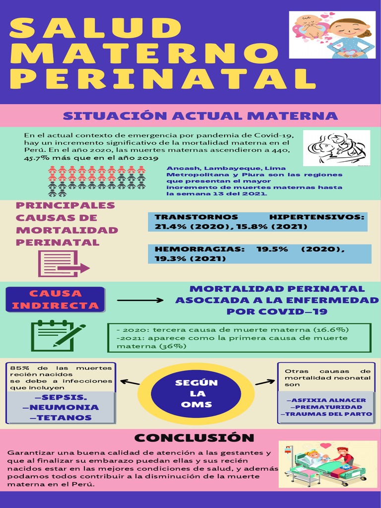 Salud Materno Perinatal | PDF