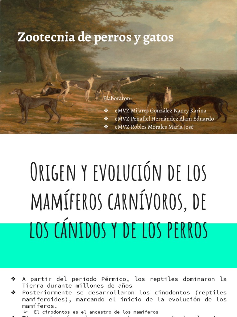Evolución y domesticación del perro | PDF | Terriers | del perro