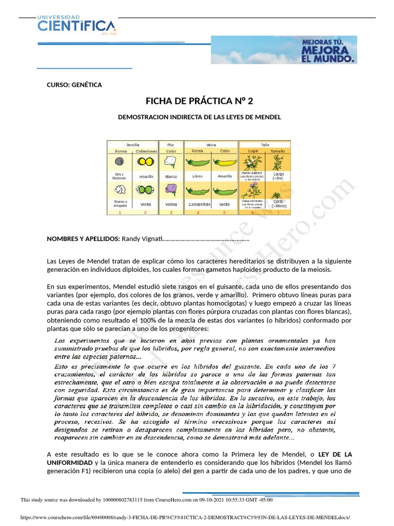 Randy 3 FICHA DE PR CTICA 2 DEMOSTRACI N DE LAS LEYES DE MENDEL | PDF | Dominancia (Genética ...