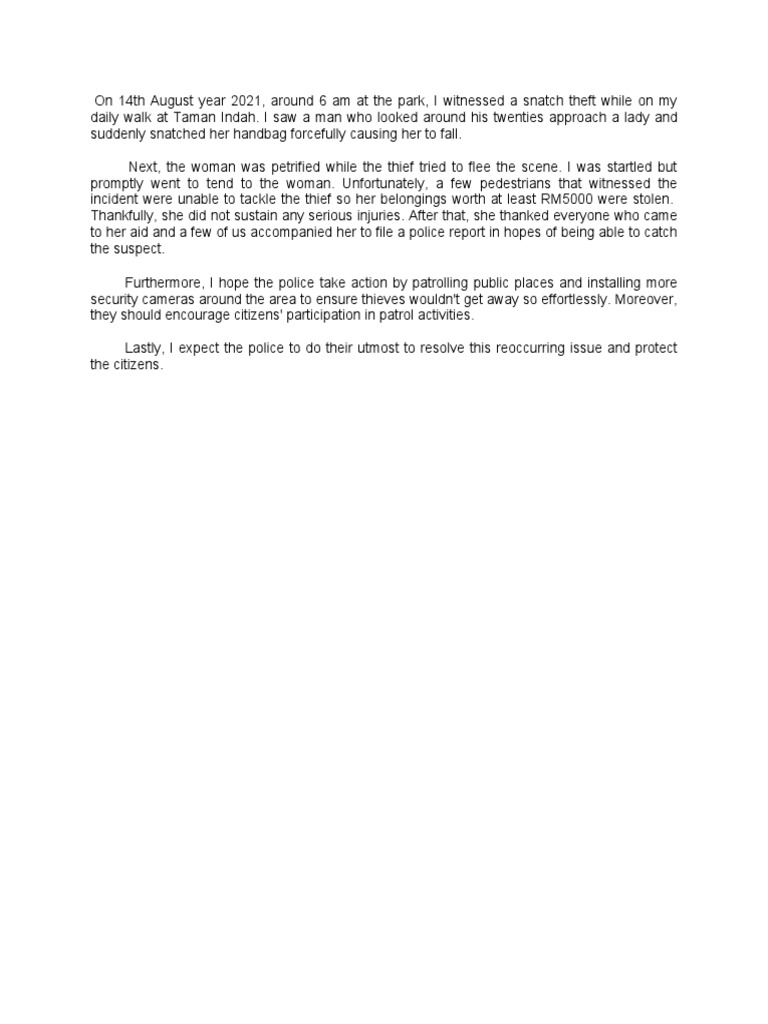 Snatch Theft Report | PDF