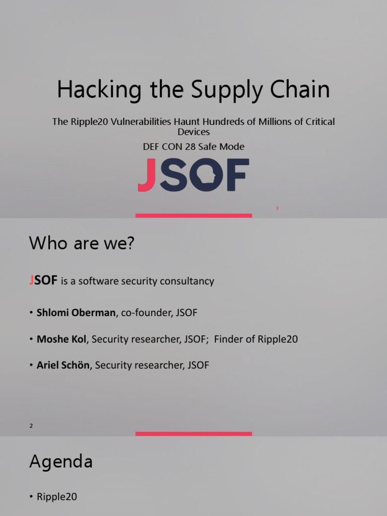 Ripple20: IoT Vulnerability Threat | PDF | Domain Name System | Information Technology