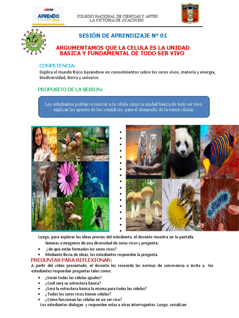 SESION 01 C y T 2° | PDF | Teoría | Biología Celular)