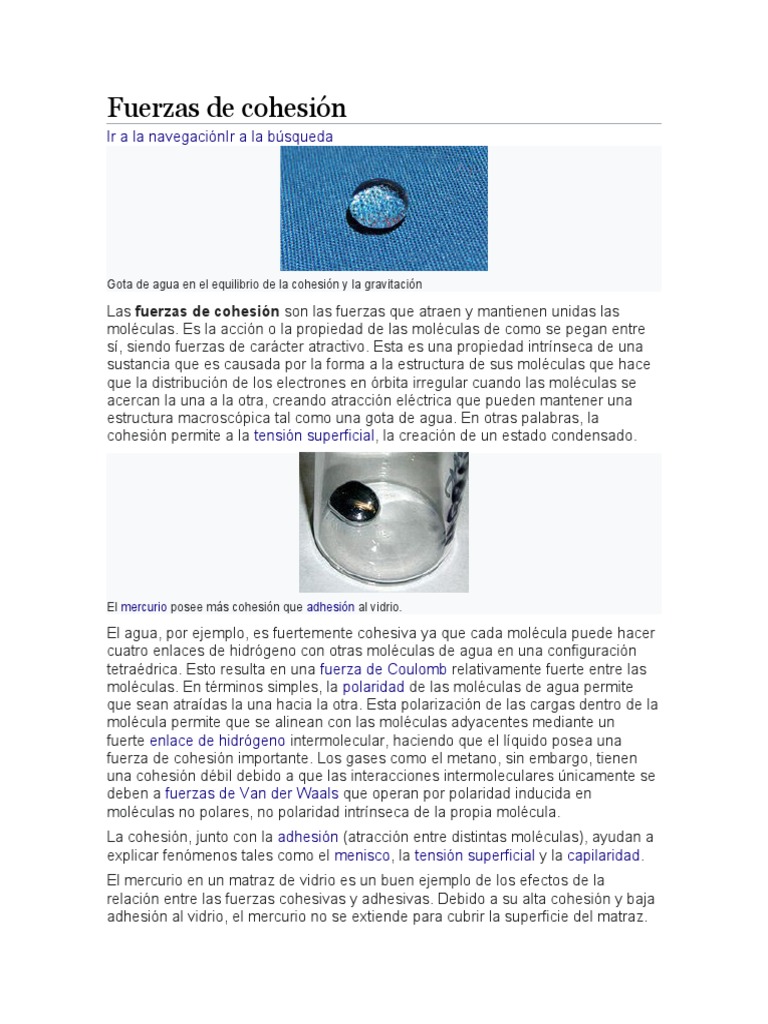 Fuerzas de Cohesión | PDF | Tensión superficial | Química