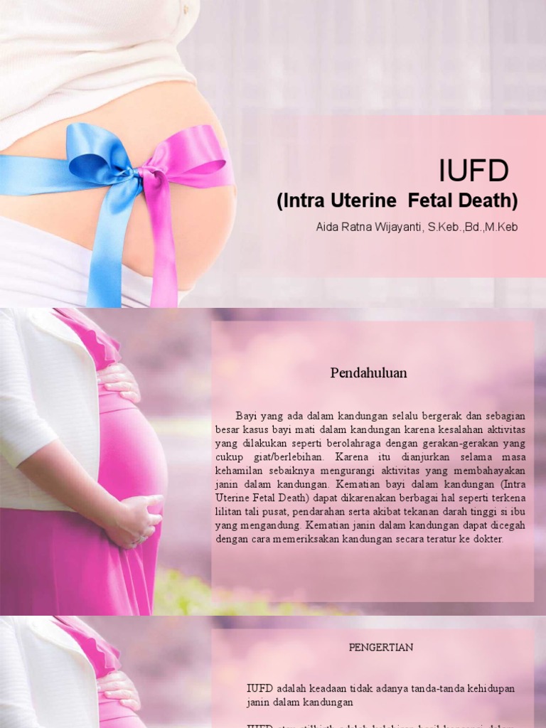 Iufd | PDF