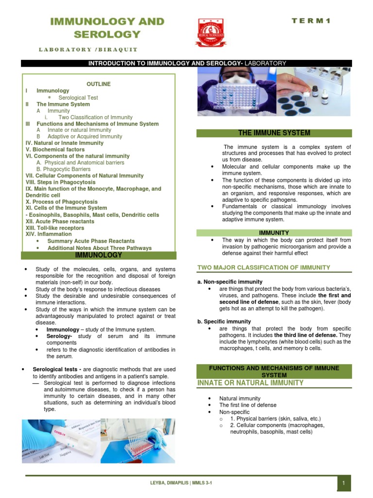 Immunology and Serology Overview | PDF | Immune System | Innate Immune ...
