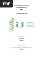 Cell Division Lab Report | PDF | Mitosis | Cell (Biology)