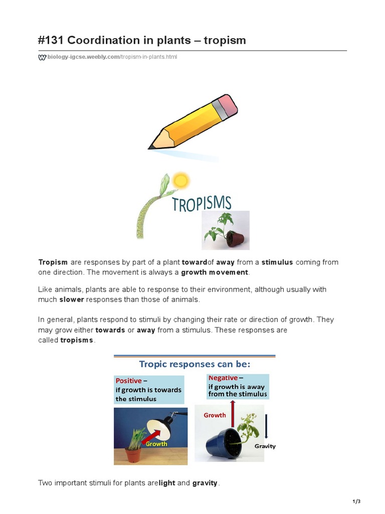 131 Coordination in Plants Tropism | PDF