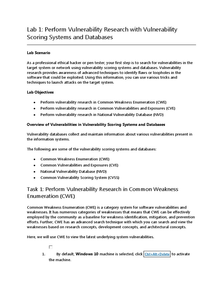 Lab 4 Vulnerability Analysis | PDF | Vulnerability (Computing) | World Wide Web