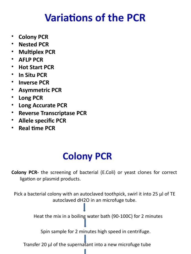 Types of PCR | PDF | Polymerase Chain Reaction | Primer (Molecular Biology)