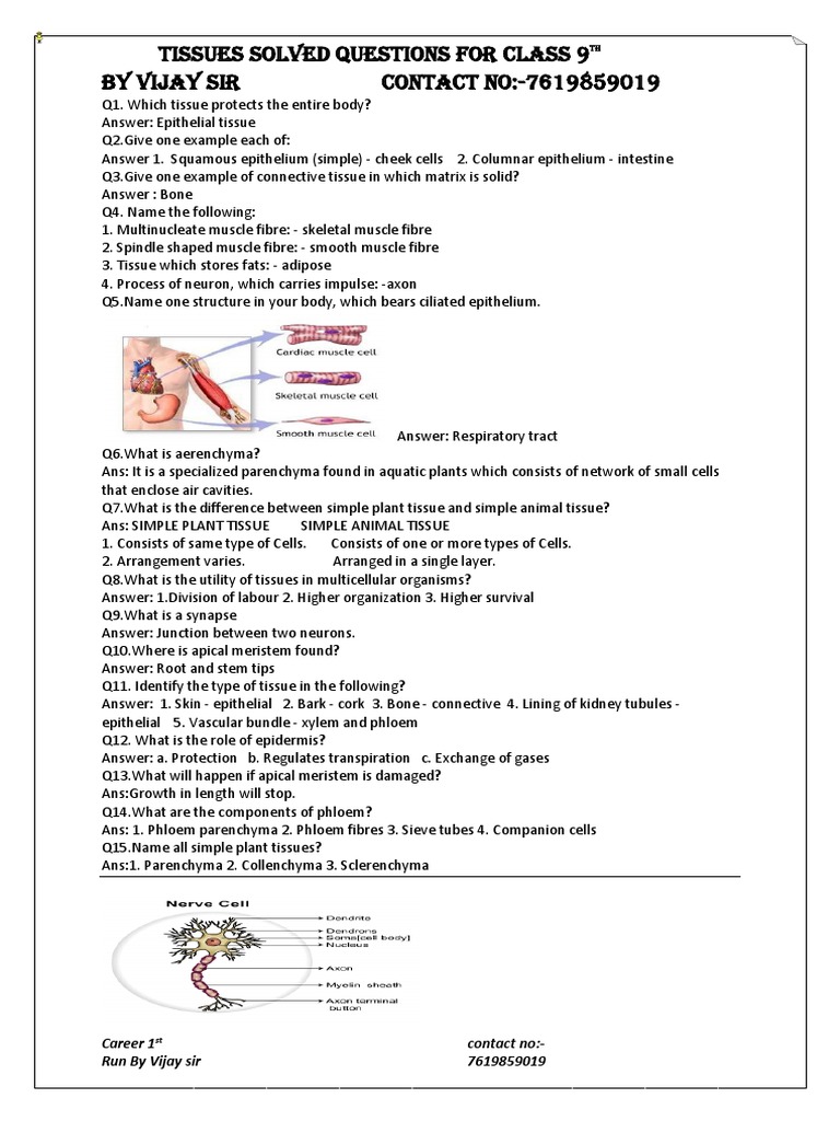 Tissues Solved Questions For Class 9 by Vijay Sir Contact No ...