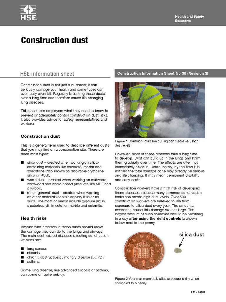 Construction Dust: HSE Information Sheet | Download Free PDF | Personal ...