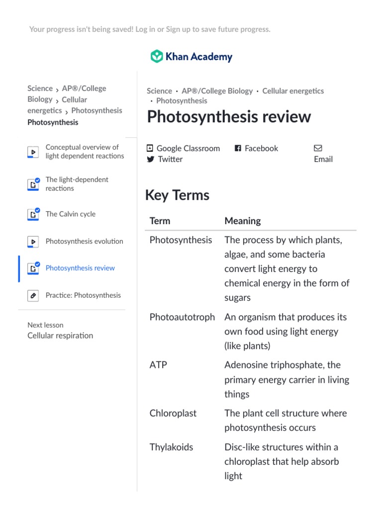 612617ee454dba00114daf82-1630913357-4 - Photosynthesis Review (Article ...