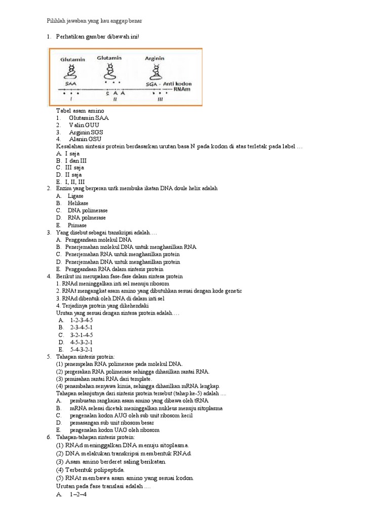 Soal Sintesa Protein | PDF