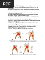 Tabel Waktu Erupsi Gigi | PDF | Seni & Disiplin Bahasa | Kajian Bahasa ...