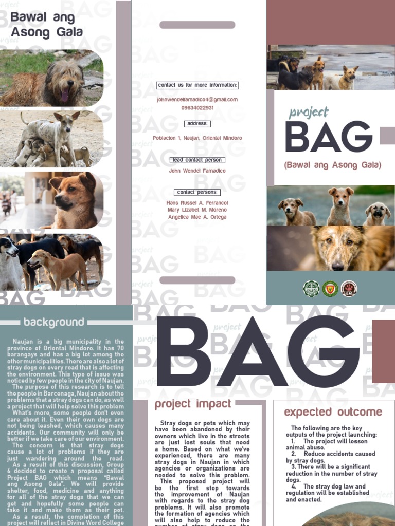 Bawal Ang Asong Gala: Project | PDF | Dogs | Pet