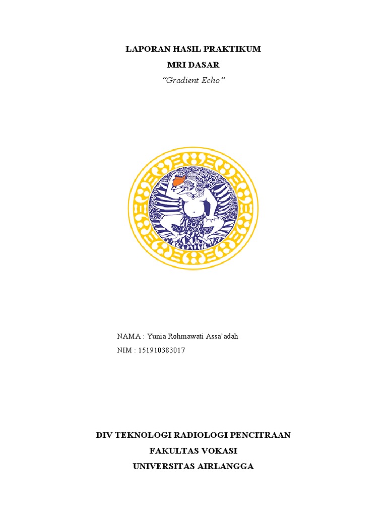 Hasil Praktikum Gradient Echo MRI | PDF
