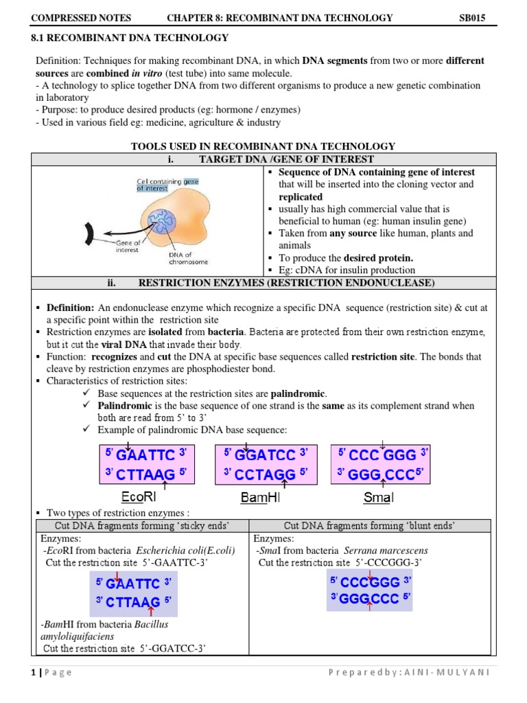 Overview of Recombinant DNA Technology | PDF | Molecular Cloning ...