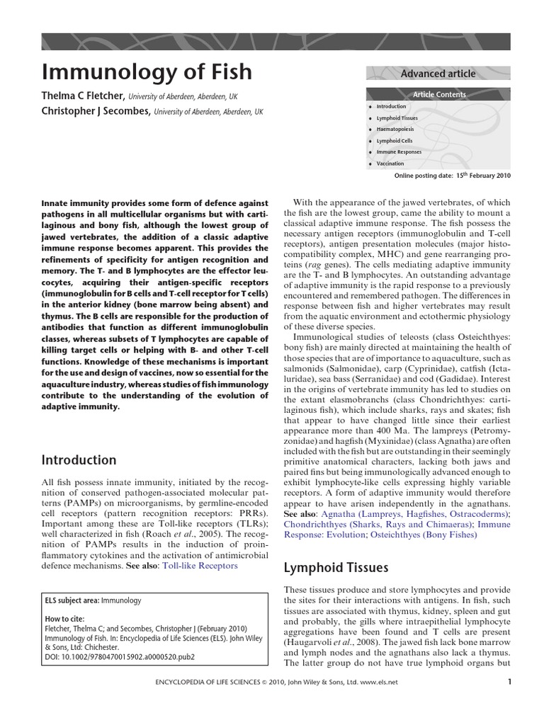 Advanced Fish Immunology Article | PDF | Immune System | Adaptive ...
