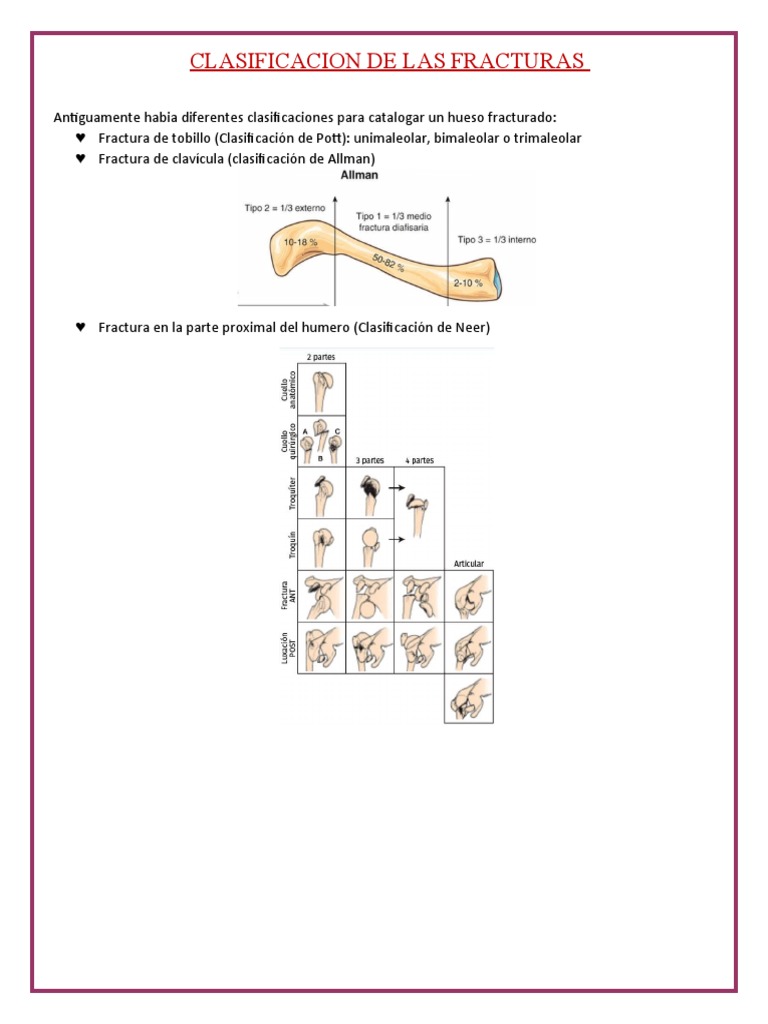 Clasificacion de Las Fracturas | PDF | Extremidades (anatomía ...