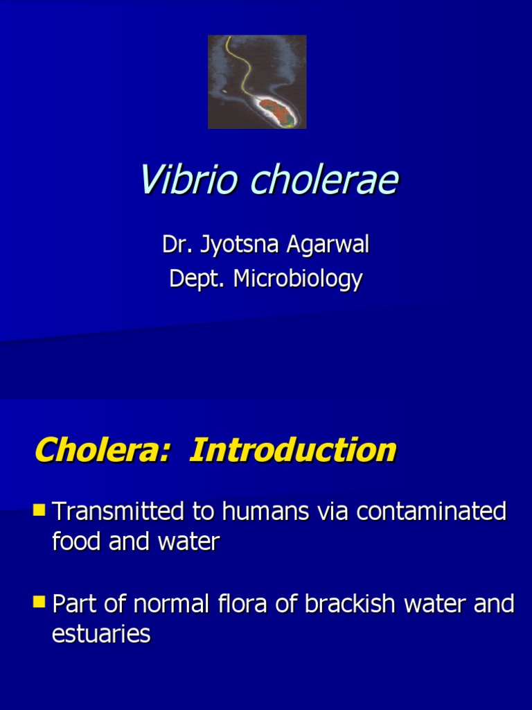 Vibrio cholerae: Characteristics, Epidemiology, Pathogenesis, Diagnosis ...