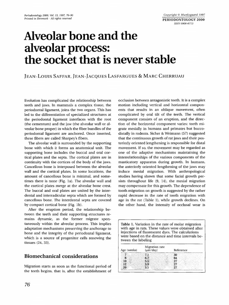 Alveolar Bone and The Alveolar Process | PDF | Bone | Periodontology