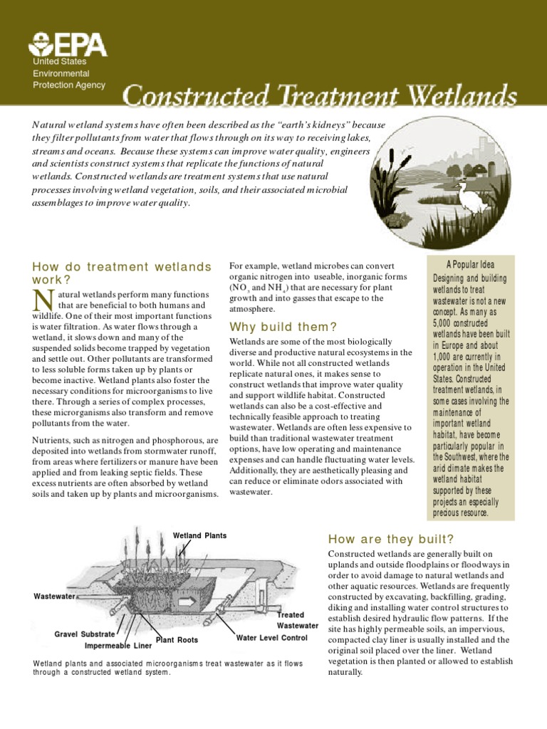 How do treatment wetlands work?: United States Environmental Protection ...