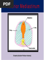 Chapman Points Table | PDF | Anatomical Terms Of Location | Neck