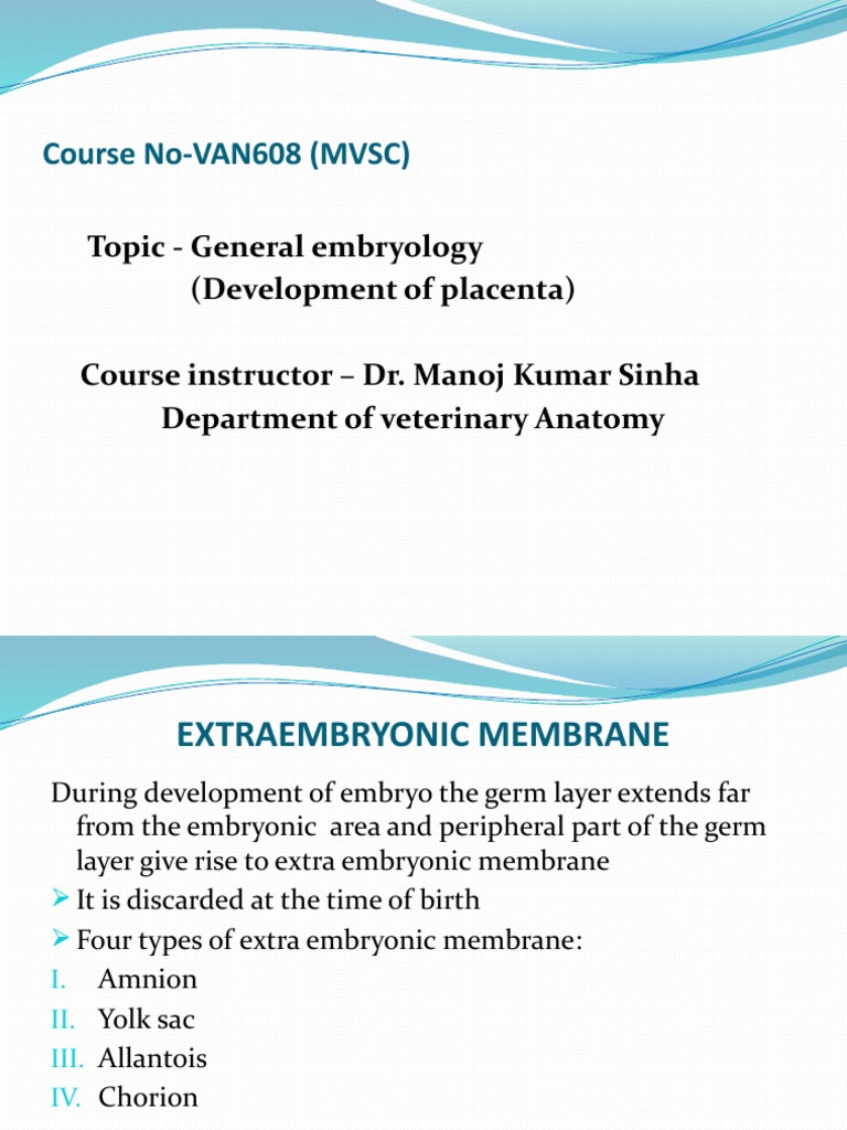 Uni File | PDF | Anatomy | Reproduction