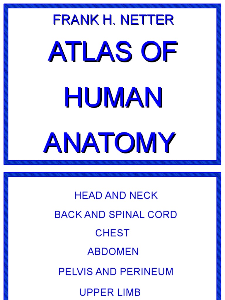 Netter's Human Anatomy Atlas Overview | PDF | Abdomen | Pelvis