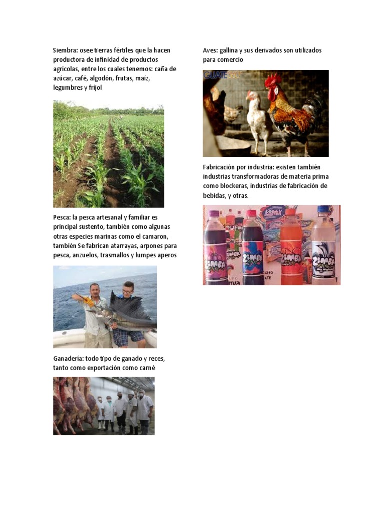 Produccion de Escuintla | PDF