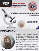 Otobius Megnini. Parasitologia. | PDF
