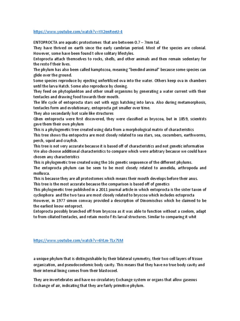 ENTOPROCTA | PDF | Zoology | Biology