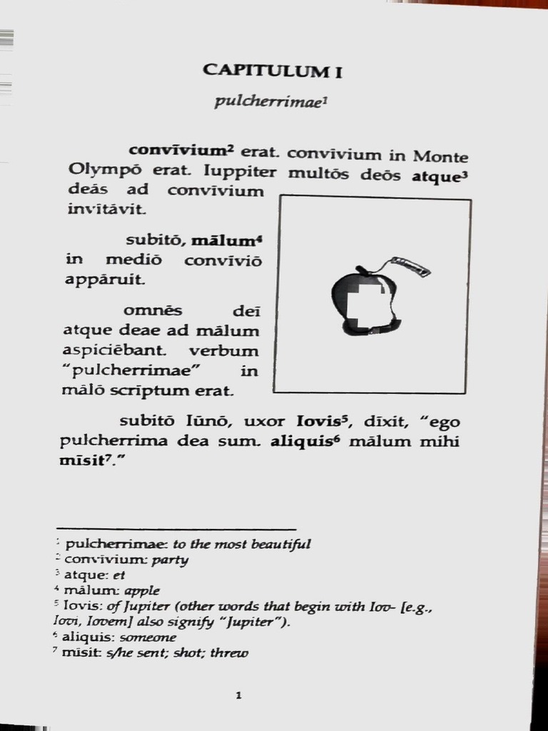 Latin Chapter 1 | PDF