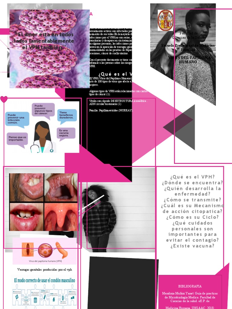 Triptico Del VPH | PDF | Virus | Inmunología