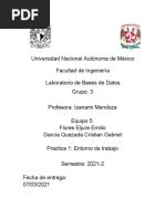 Manual Oracle SQL Developer | PDF | SQL | Oracle Corporation