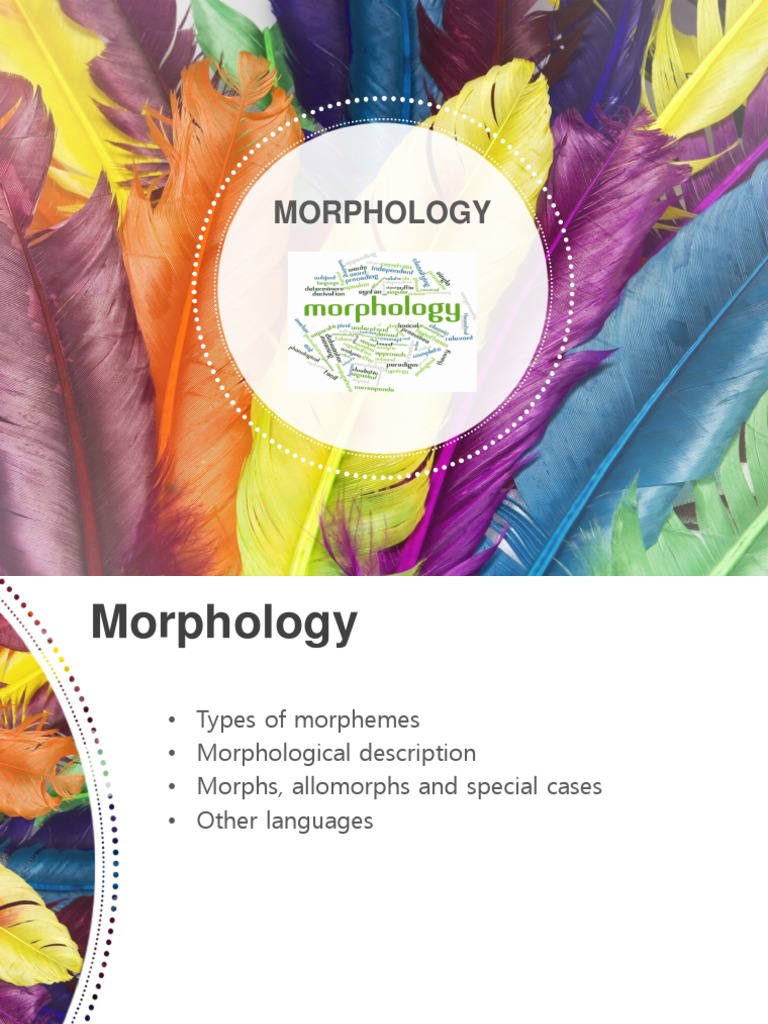 Chapter 6 Morphology | PDF | Word | Morphology (Linguistics)