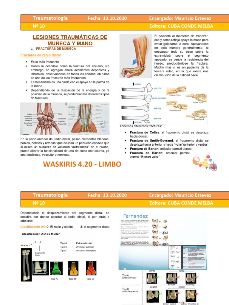 09r-T09-Traumato-Lesiones Traumaticas de Muneca y Mano | PDF | Mano ...