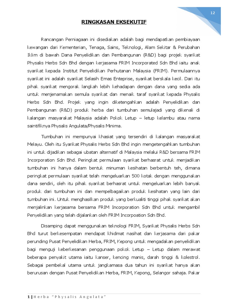 Ringkasan Eksekutif | PDF