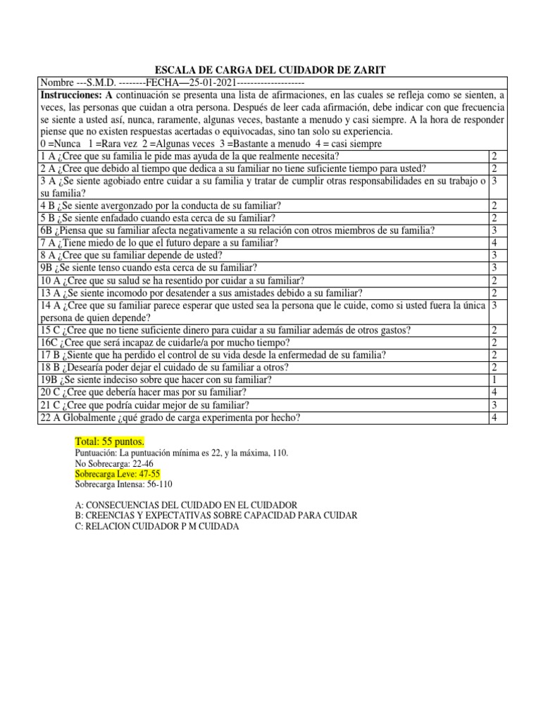 Escala de Carga Del Cuidador de Zarit | PDF | Conceptos psicologicos | Sicología