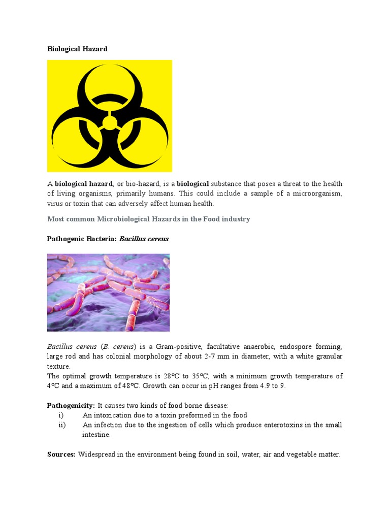 Biological Hazard: Most Common Microbiological Hazards in The Food ...