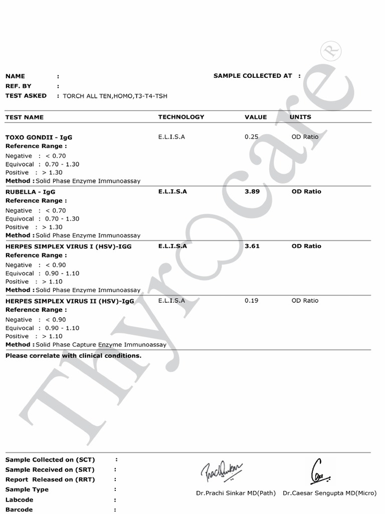TORCH Sample Report | PDF